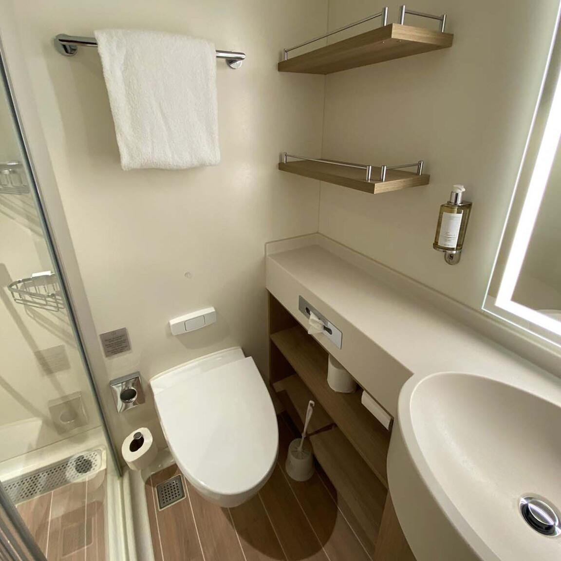 Cruise Ship Toilet Mistakes You’ll Want To Avoid ...